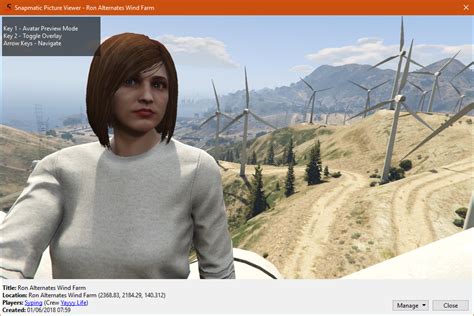 Gta View GTA V Profile Viewer Editor V GTA Mod