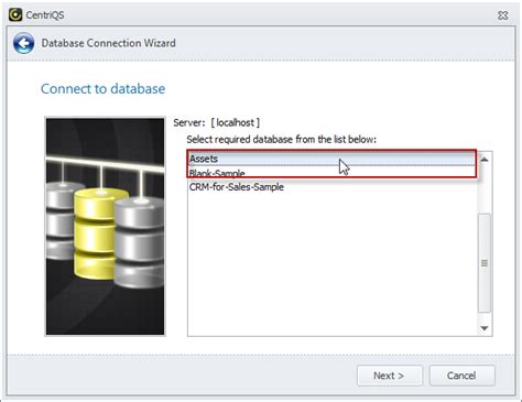 Assets Database Template