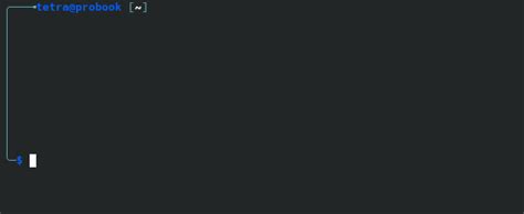 yall like my zsh theme 👀 r linuxmasterrace