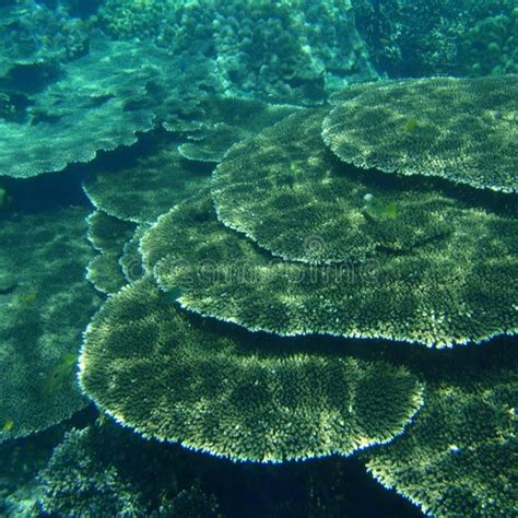 Anthony Boucher Youtube