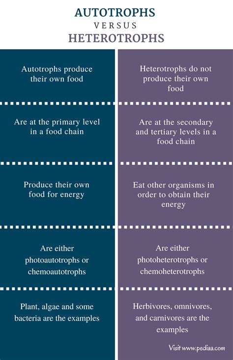 Venn Diagram Of Autotrophs And Heterotrophs Wiring Diagram Pictures