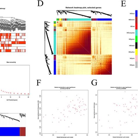 Identification Of Hub Modules Associated With Gene Signature And