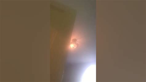 Switches In My House Youtube