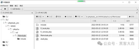 2024版最新ctf常用工具汇总（非常详细）零基础入门到精通，收藏这篇就够了ctf工具 Csdn博客