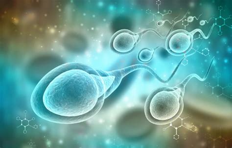 वरय और शकरण म अतर Difference between semen and sperm in Hindi
