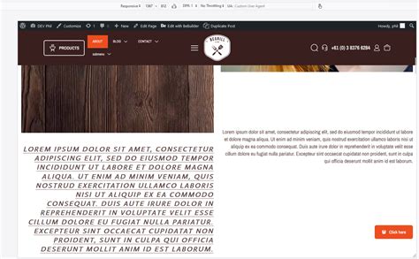 Bug Report On Column Text Style Tab — Betheme Support Forum