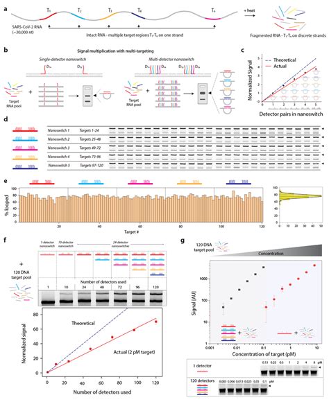 Improving Sensitivity With Multi Detector Nanoswitches A Long Viral Download Scientific