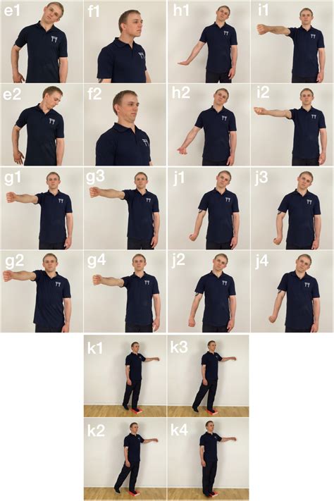Shows The Seven Primary Mobility And Motor Control Exercises Used Download Scientific Diagram