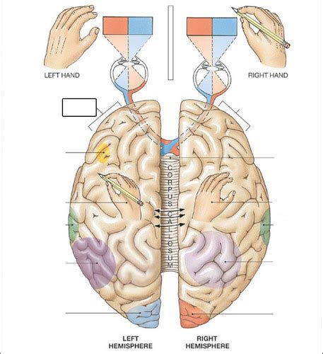 A P Photos Flashcards Quizlet