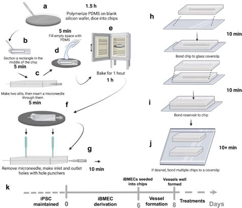 Figure 1 From A Rapid Patterning 3d Vessel On Chip For Imaging And