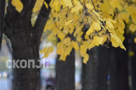 Променливо облачно со слаб северен ветер Скопје1 мк