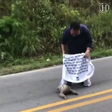 Thank You So Much ️ Nimal Raghavan