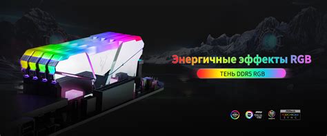 Netac_модуль памяти_память