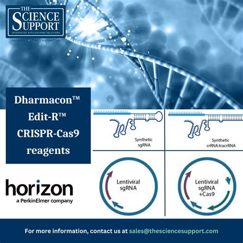 the science support on linkedin gene algorithm application gene editing cell rna dna