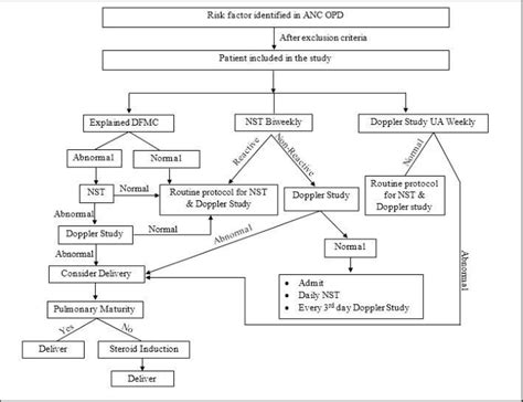 Flowchart For Simplified Version Of Method Download Scientific Diagram