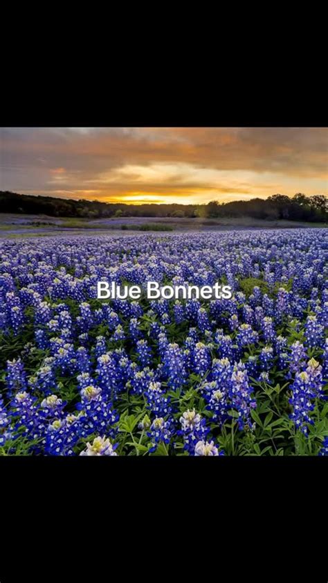 Mia Iaderosa Woke Up This Morning 2 Years Sober And It Still Doesnt Feel Real I Took Some