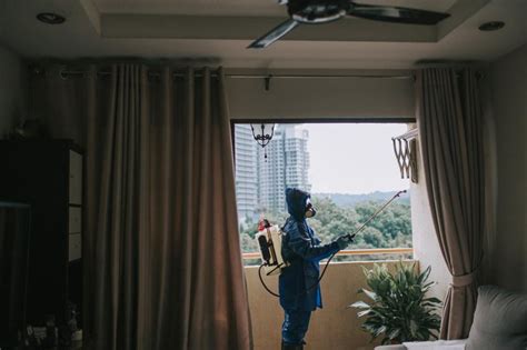 Solved What Are The Tiny Black Bugs In My House Near The Window