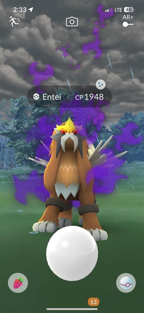 Shiny Entei Rpokemongovalor