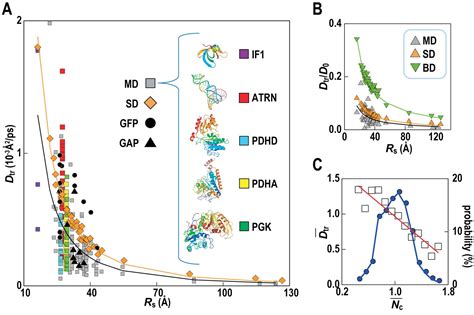 Figures And Data In Biomolecular Interactions Modulate Macromolecular Structure And Dynamics In