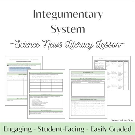 Integumentary System In The News Lesson Grades 9 12 By Strange