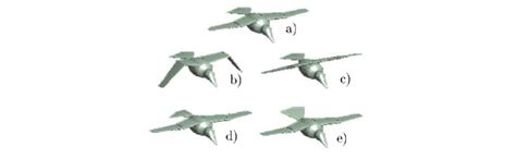 A Bird Geometry B Wing Flapping C Wing Twisting D Tail