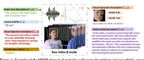 Emotion-LLaMA: Multimodal Emotion Recognition and Reasoning with Instruction Tuning