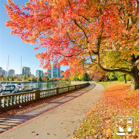 Urban Fall Walking Routes Autumn Sidewalk With Colorful Trees