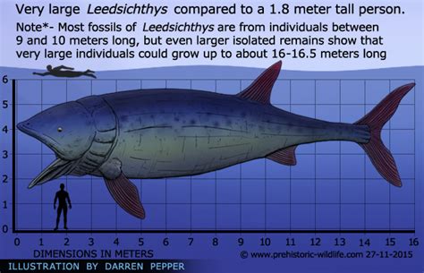 Leedsichthys Prehistoric Life Wiki Fandom