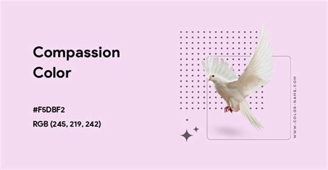Compassion Color Hex Code Is F5dbf2