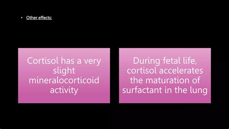 Endocrine Physiology Adrenal Cortexpptx Endocrine Physiology Adrenal Cortexpptx