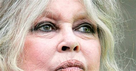 Mort De Brigitte Bardot Une Chroniqueuse De Cyril Hanouna Sera Présente Aux Obsèques Zaptv 日本