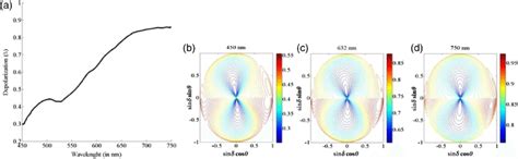 a wavelength dependence of depolarization and [ b c and d