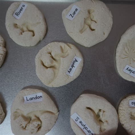 How To Make Fossils Sarah Chesworth