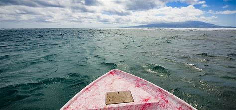 Cheaper Easier And Faster What The Tpp Means For Us Small Businesses