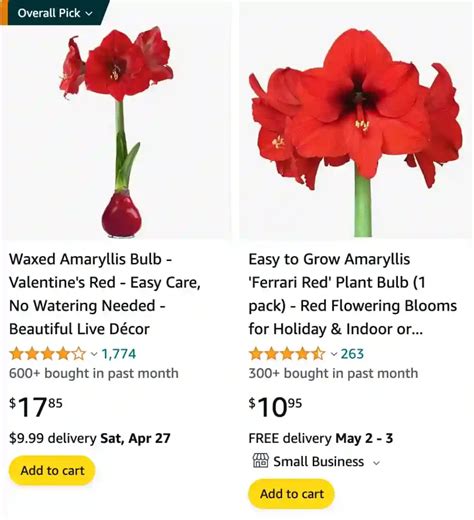 2 Species In Genus Amaryllis