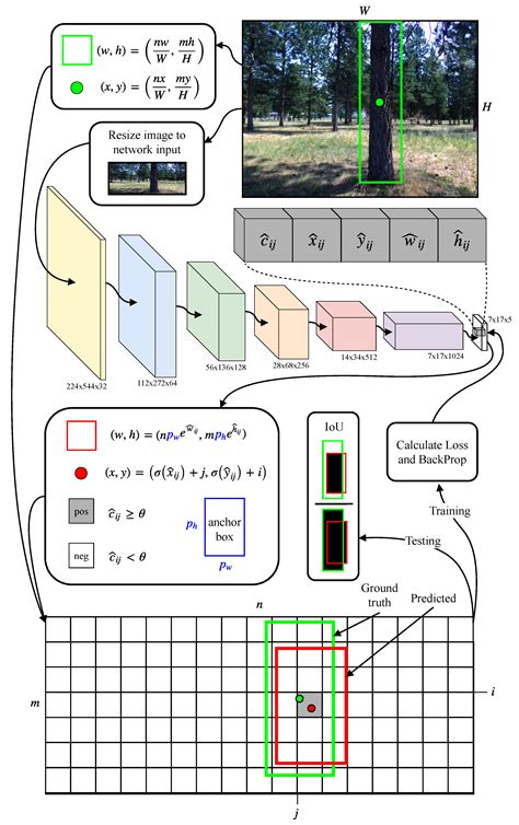 real time computer vision for tree stem detection and tracking