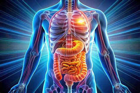 Understanding Digestive Tract Health Issues A Comprehensive Visual
