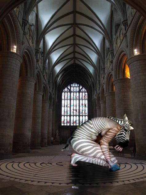 Zebra Transformation By Nightskymun On DeviantArt