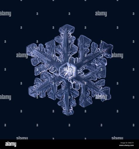 Real Snowflake Under Microscope