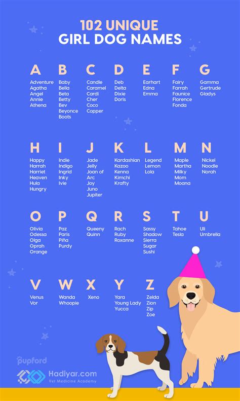 انتخاب اسم سگ ماده اسامی جذاب و خاص برای سگ، به‌روز شده در سال 2019