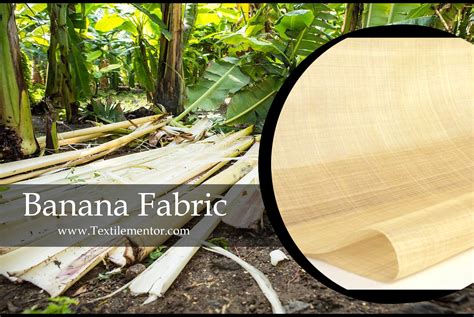 Banana Fiber Fabric A Sustainable Alternative In Textiles