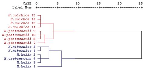 cluster analysis ward s method and squared euclidean distance 14