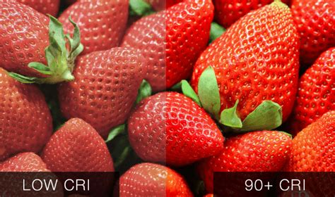 what is colour rendering index cri
