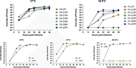 Kinetics Of Replication Of The Mutant Viruses At Different Temperatures Download Scientific