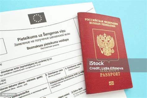 러시아어와 라트비아어로 된 솅겐 비자 신청서와 파란색 배경의 여권 국경에 대한 스톡 사진 및 기타 이미지 국경 접근성 Eu 본부 Istock