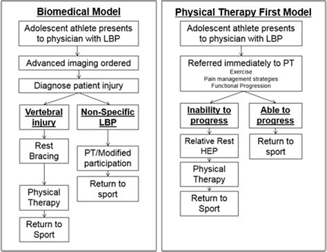 Biomedical Model