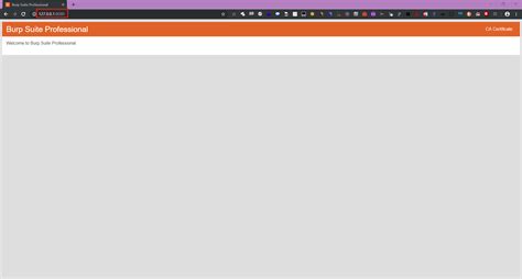 Burpsuite Burpsuite Burpsuiteprofessional Csdn