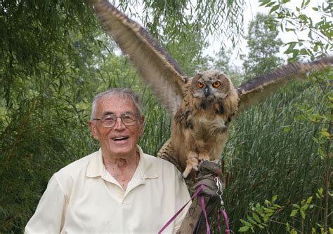 Eurasian Eagle Owl Size