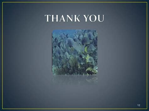 Magnetic Field Induced Incommensurate To Collinear Spin Order Pptx