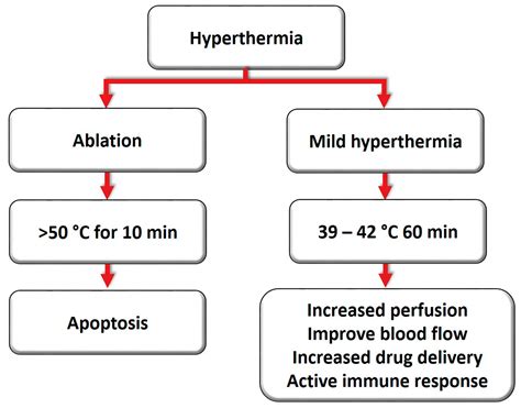 Hyperthermia Treatment For Brain Cancer At Lewis Wooley Blog